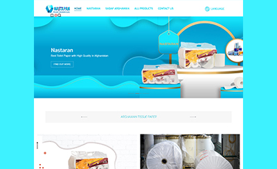 N Nastaran - WinSoft Technology